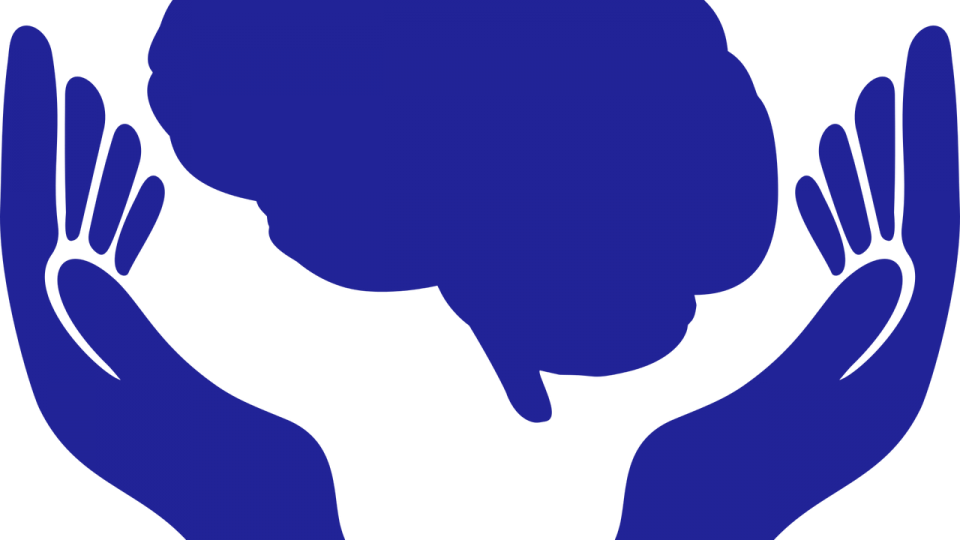 STAR+PLUS Pilot Program Workgroup (SP3W) and Intellectual and ...